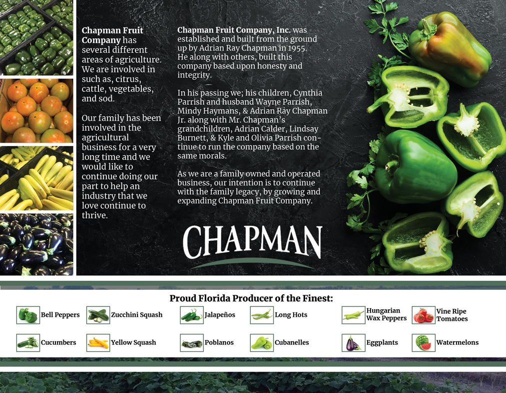 Chapman Fruit Company – Savannah's Portfolio